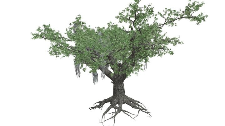 ArtStation - Live Oak Tree #10 - High Poly Tree (3D Model) | Game Assets