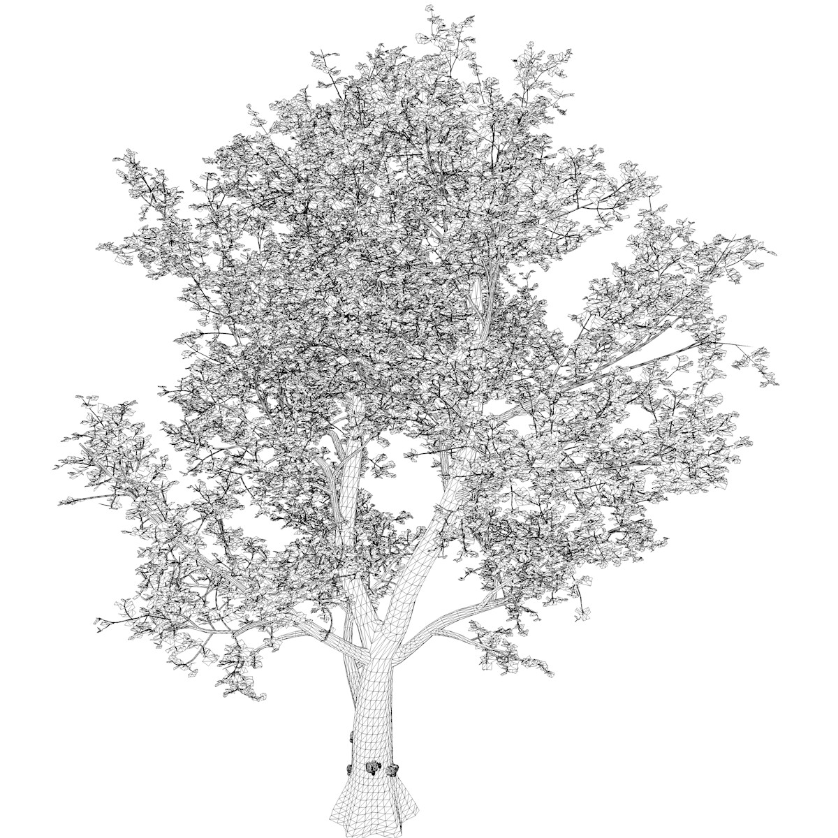 ArtStation - London Plane Tree #01 - High Poly Tree (3D Model) | Game ...