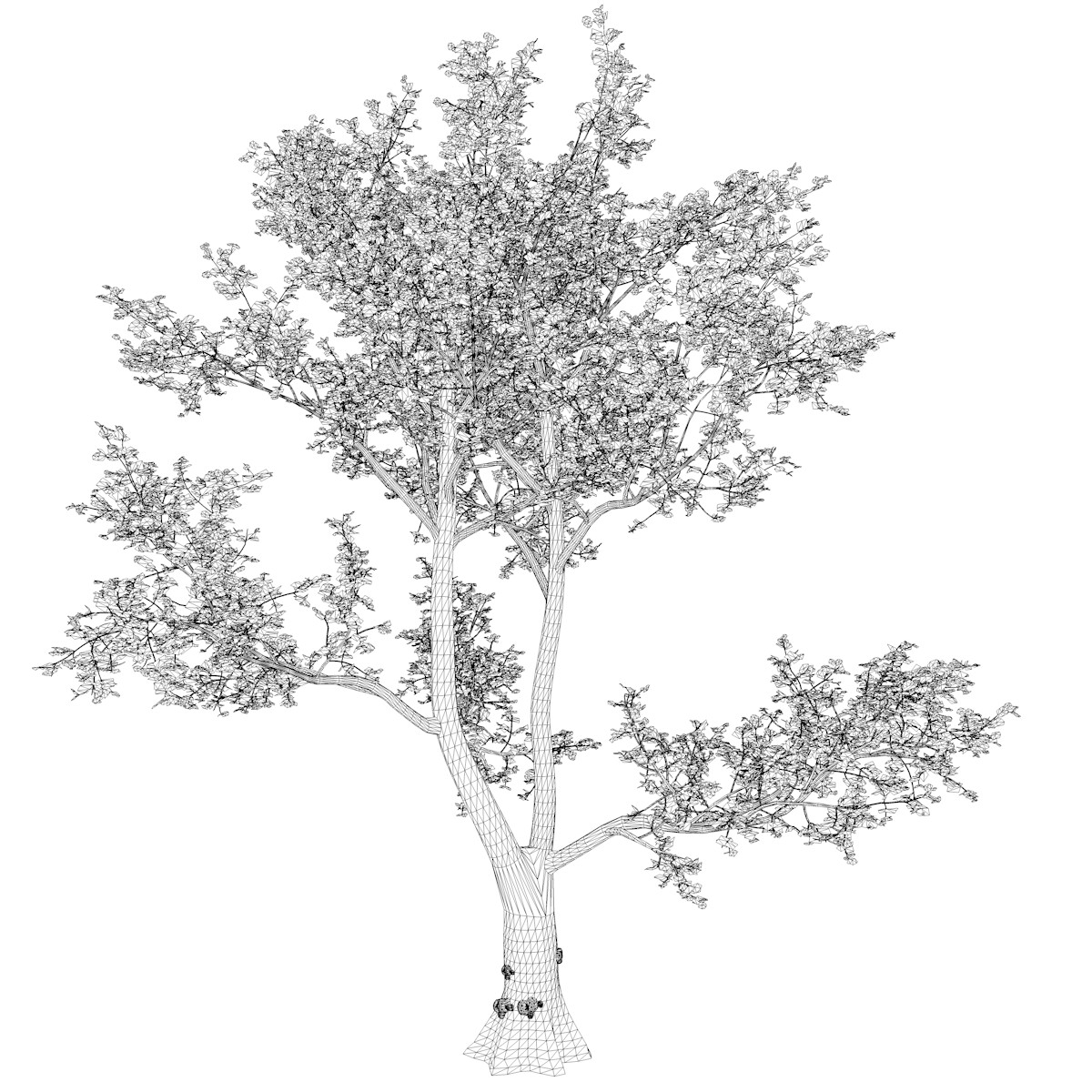ArtStation - London Plane Tree #09 - High Poly Tree (3D Model) | Game ...