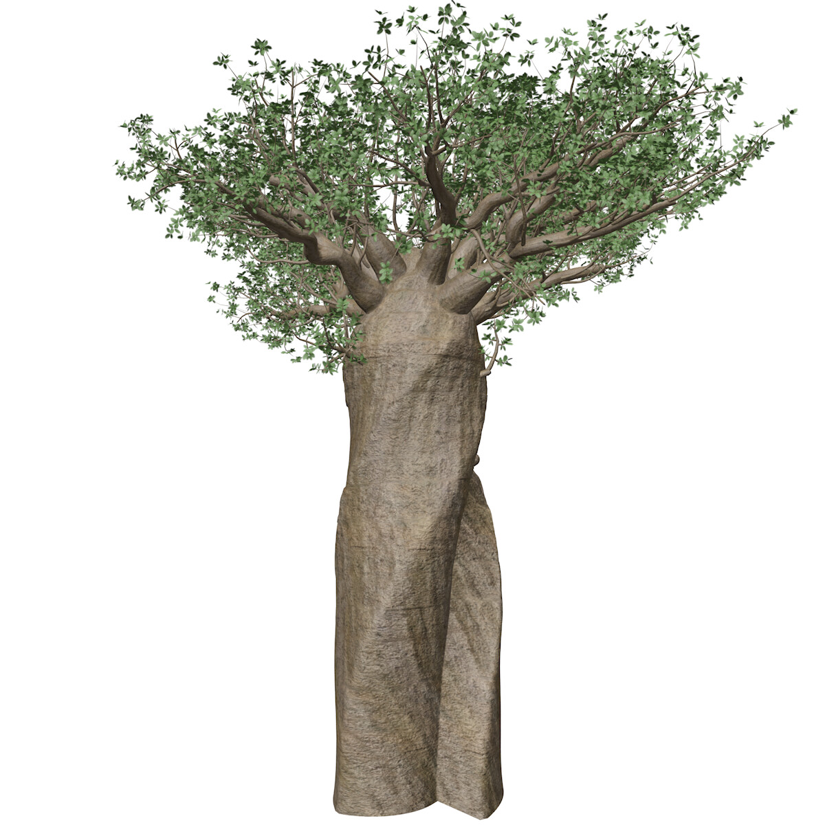 ArtStation - Madagascan Baobab Tree #05 - High Poly Tree (3D Model ...