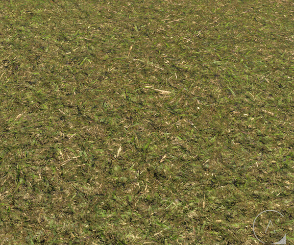 ArtStation - Grass texture pack vol2 Texture | Game Assets