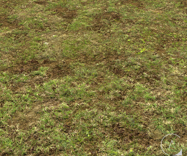 ArtStation - Grass texture pack vol2 Texture | Game Assets