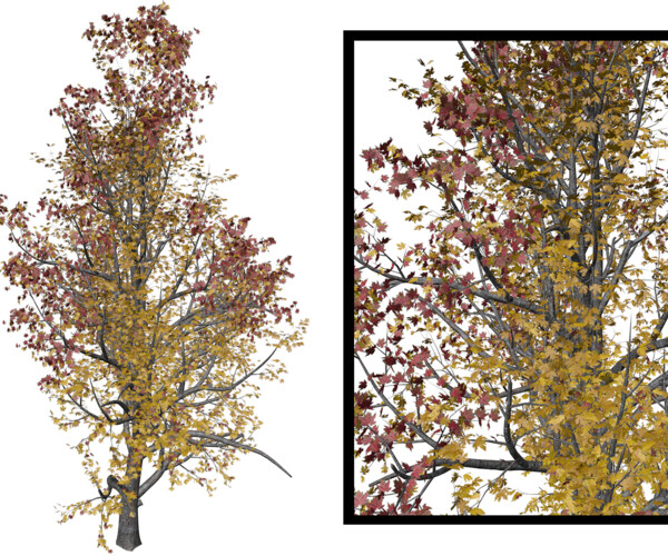 ArtStation - Mountain Maple Tree (in Fall) #04 - High Poly Tree (3D ...