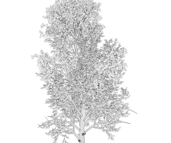 ArtStation - Mountain Maple Tree (in Fall) #06 - High Poly Tree (3D ...