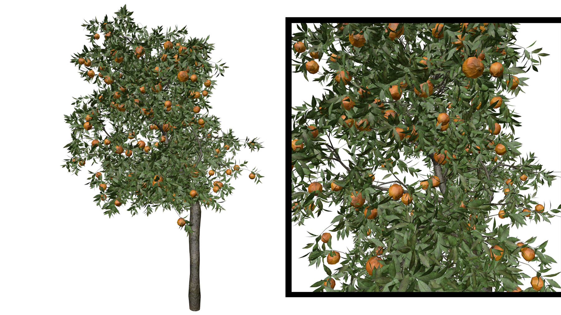 ArtStation - Orange Tree #01 - High Poly Tree (3D Model) | Game Assets
