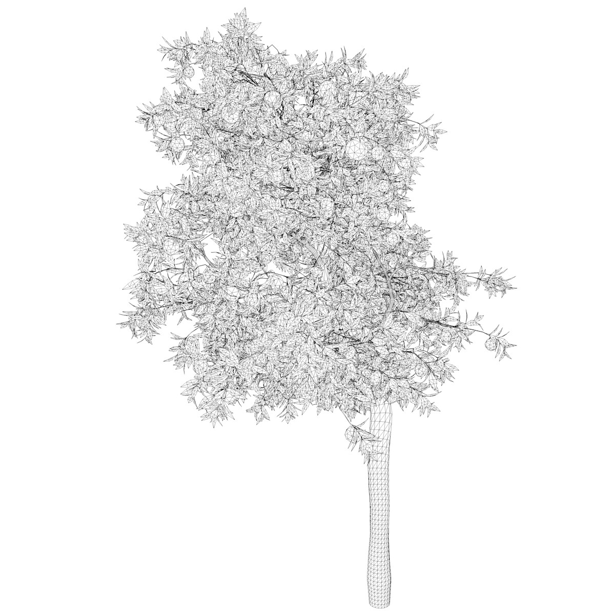 ArtStation - Orange Tree #01 - High Poly Tree (3D Model) | Game Assets