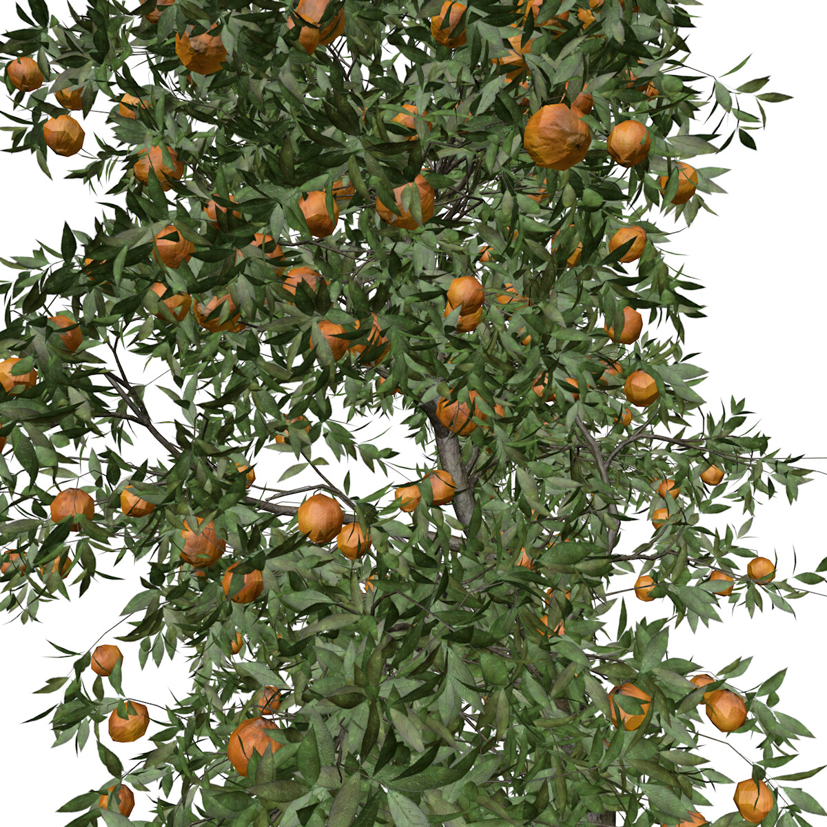 ArtStation - Orange Tree #01 - High Poly Tree (3D Model) | Game Assets