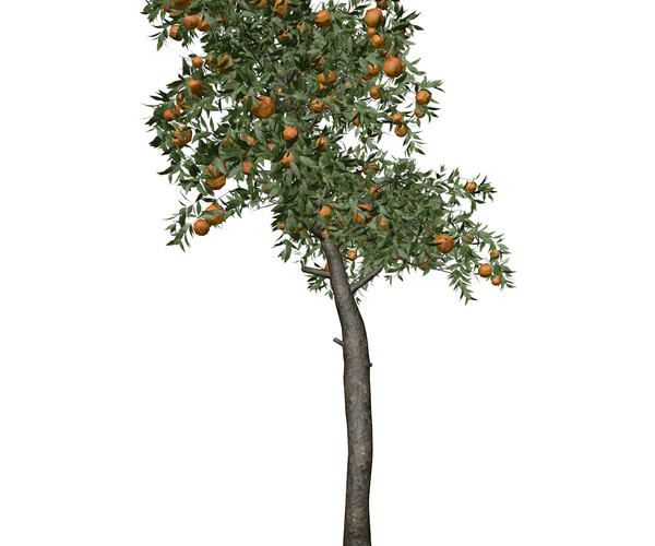 ArtStation - Orange Tree #02 - High Poly Tree (3D Model) | Game Assets