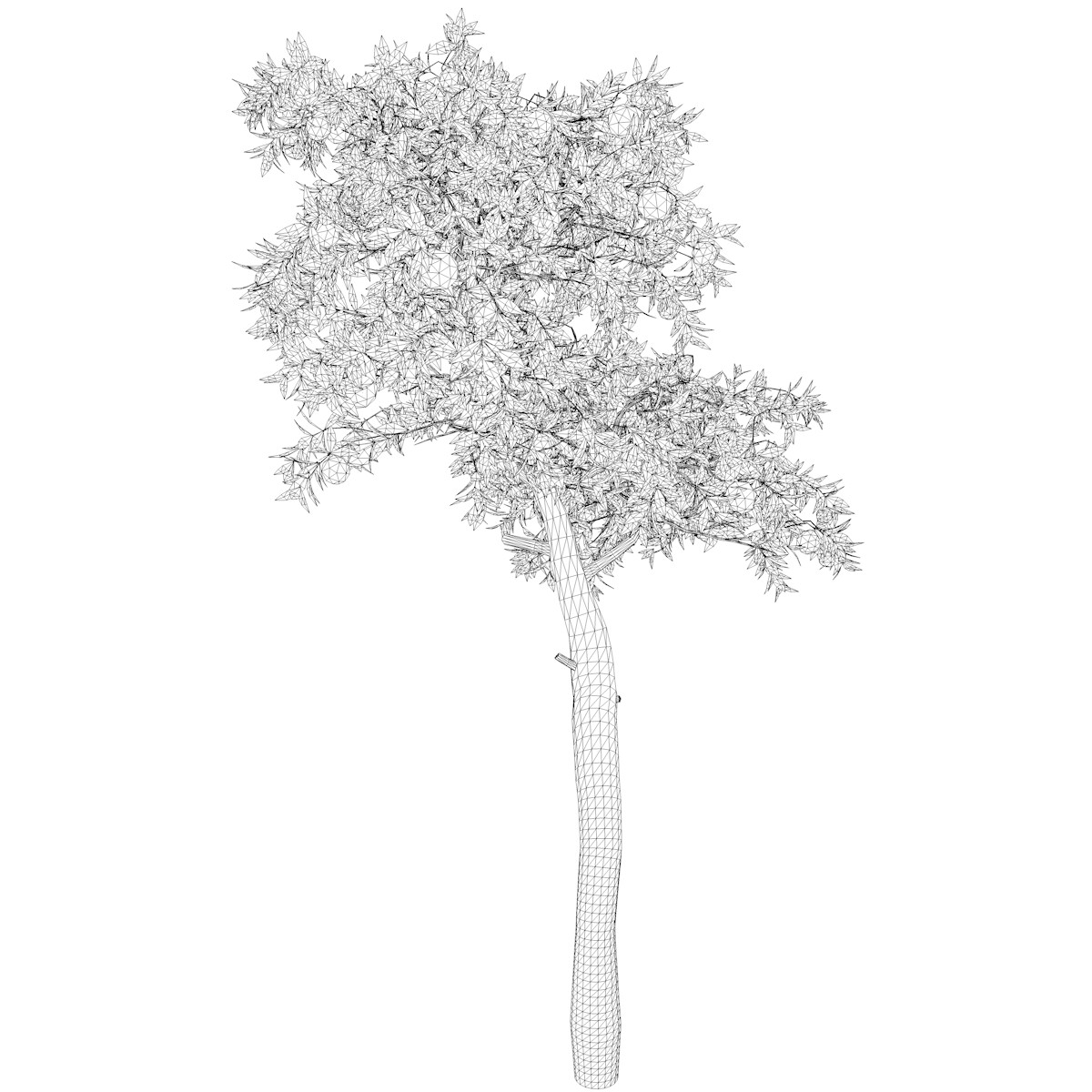 ArtStation - Orange Tree #02 - High Poly Tree (3D Model) | Game Assets