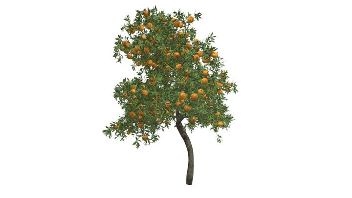ArtStation - Orange Tree #03 - High Poly Tree (3D Model) | Game Assets