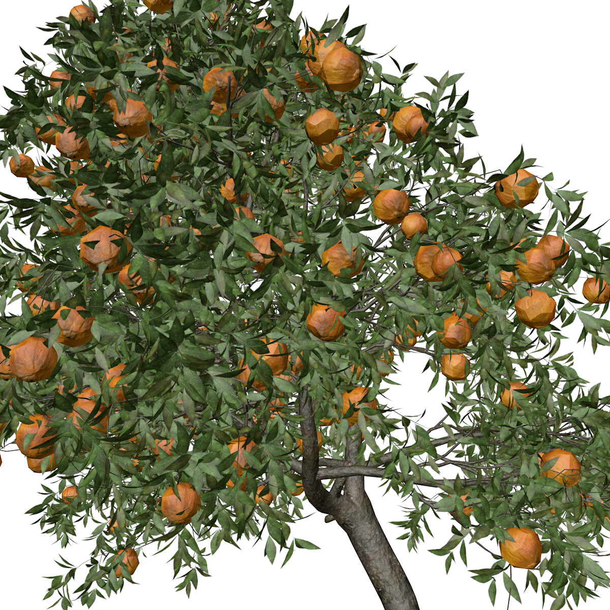 ArtStation - Orange Tree #03 - High Poly Tree (3D Model) | Game Assets