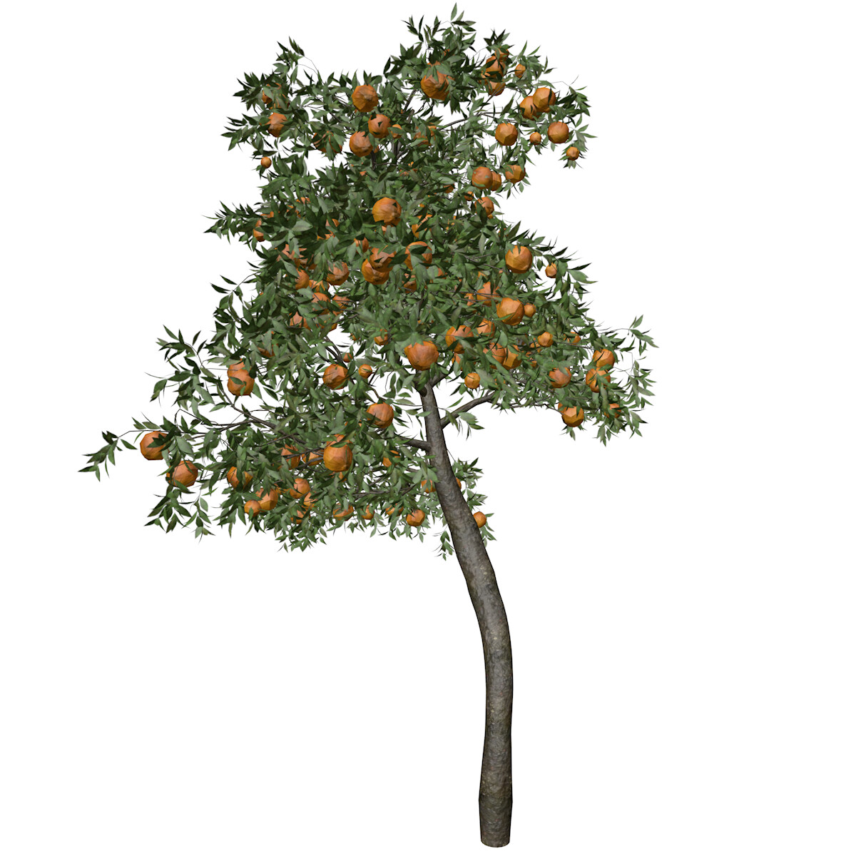 ArtStation - Orange Tree #04 - High Poly Tree (3D Model) | Game Assets