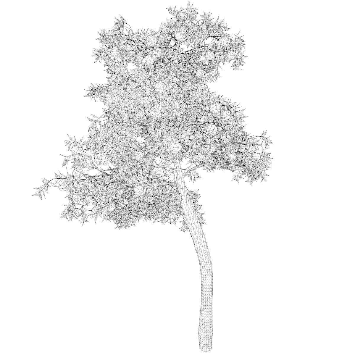 ArtStation - Orange Tree #04 - High Poly Tree (3D Model) | Game Assets