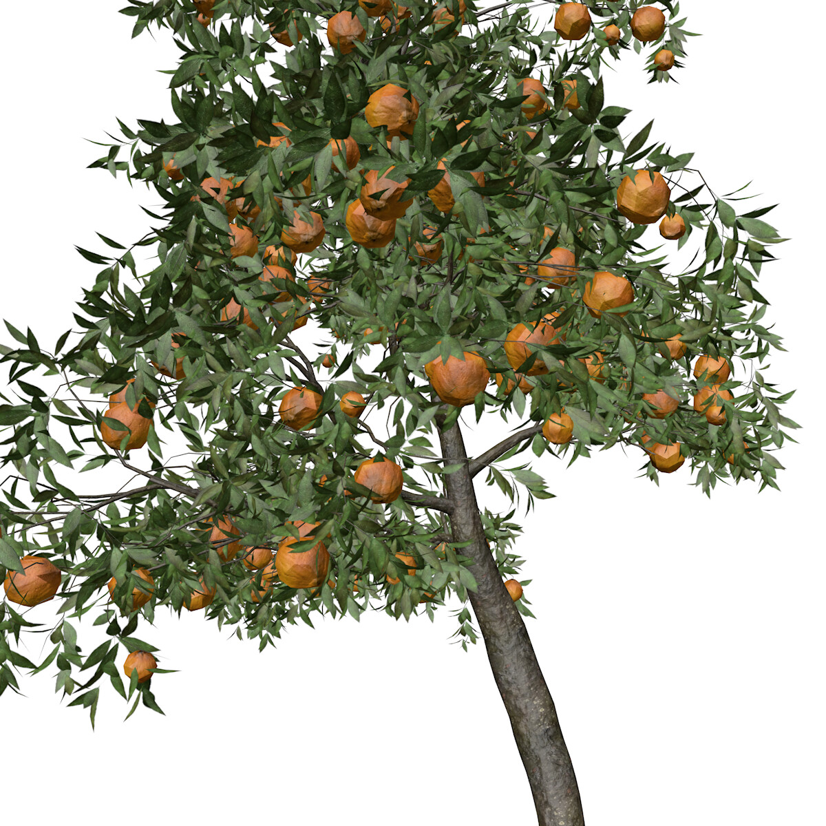 ArtStation - Orange Tree #04 - High Poly Tree (3D Model) | Game Assets