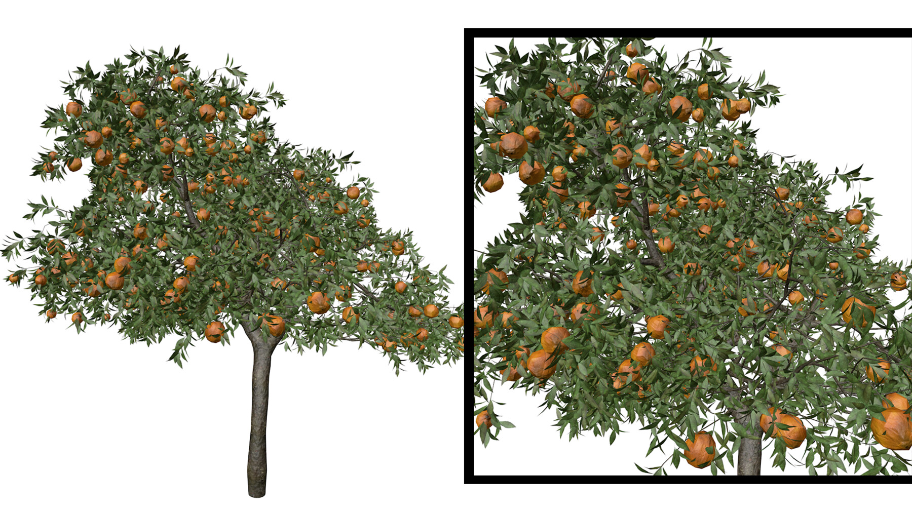ArtStation - Orange Tree #05 - High Poly Tree (3D Model) | Game Assets
