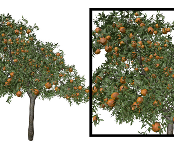 ArtStation - Orange Tree #05 - High Poly Tree (3D Model) | Game Assets