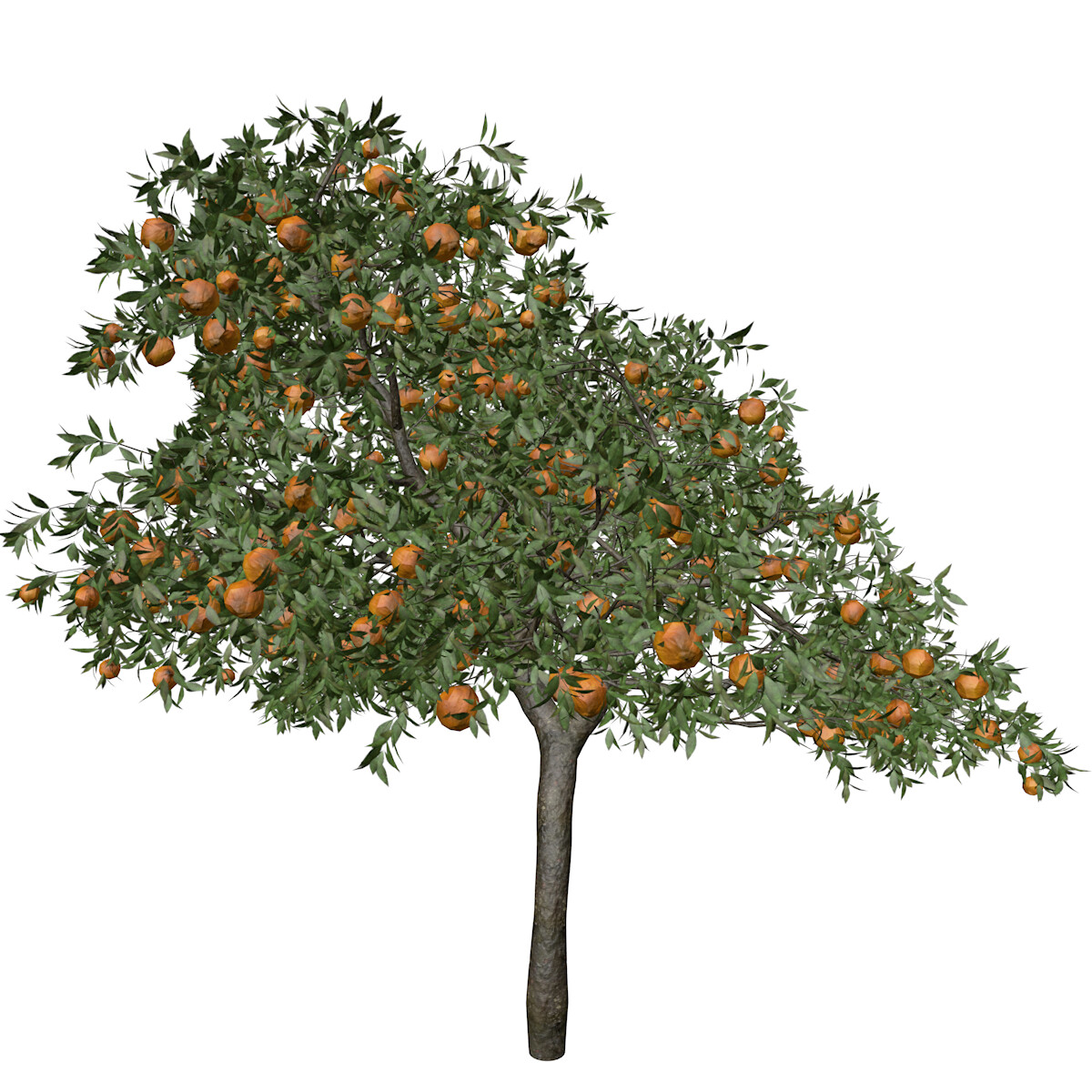 ArtStation - Orange Tree #05 - High Poly Tree (3D Model) | Game Assets