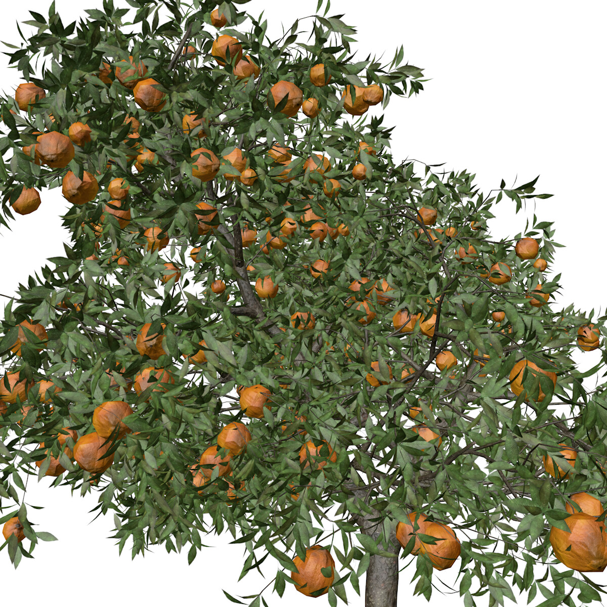 ArtStation - Orange Tree #05 - High Poly Tree (3D Model) | Game Assets