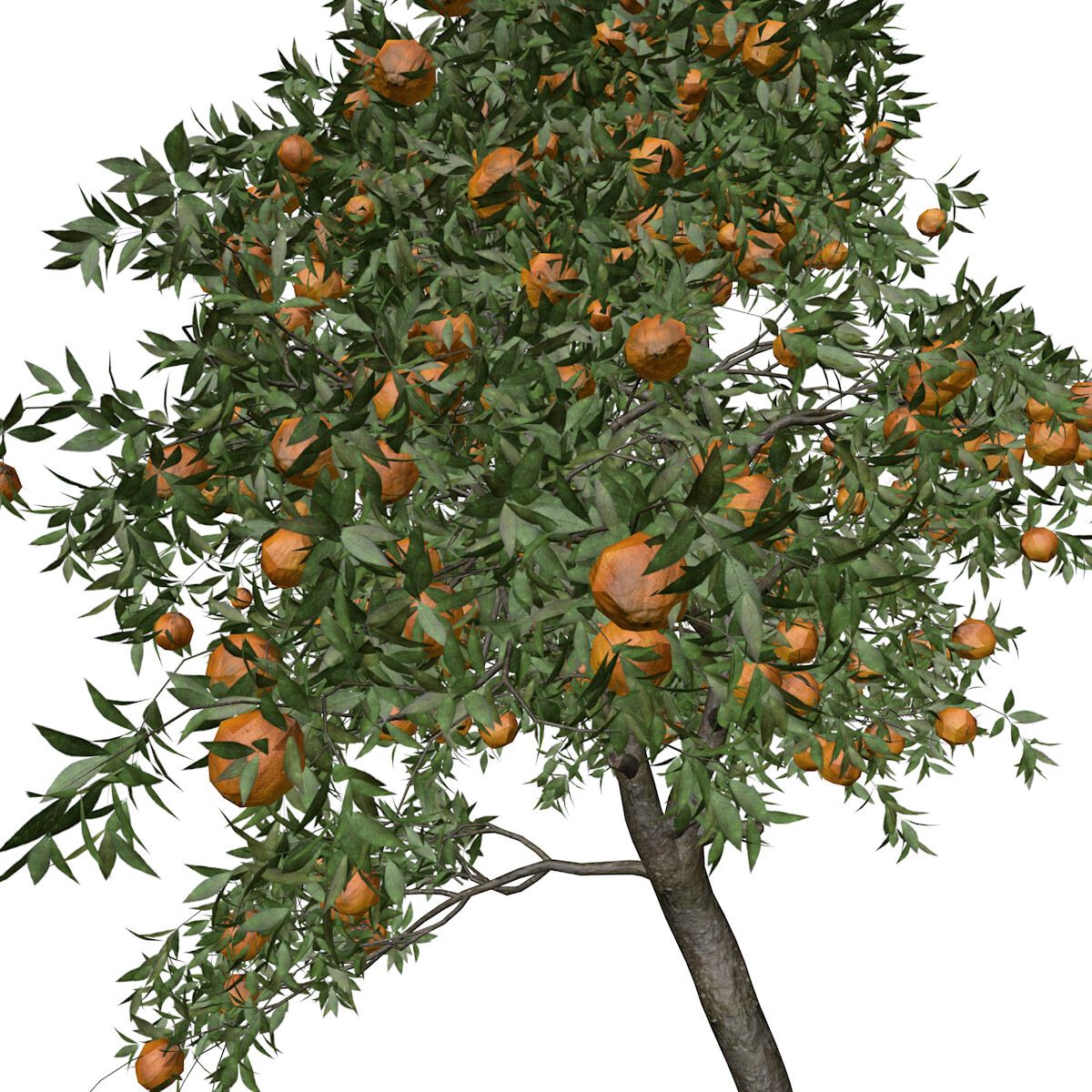 ArtStation - Orange Tree #06 - High Poly Tree (3D Model) | Game Assets