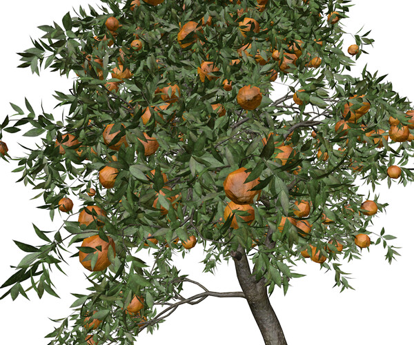 ArtStation - Orange Tree #06 - High Poly Tree (3D Model) | Game Assets