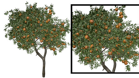ArtStation - Orange Tree #07 - High Poly Tree (3D Model) | Game Assets