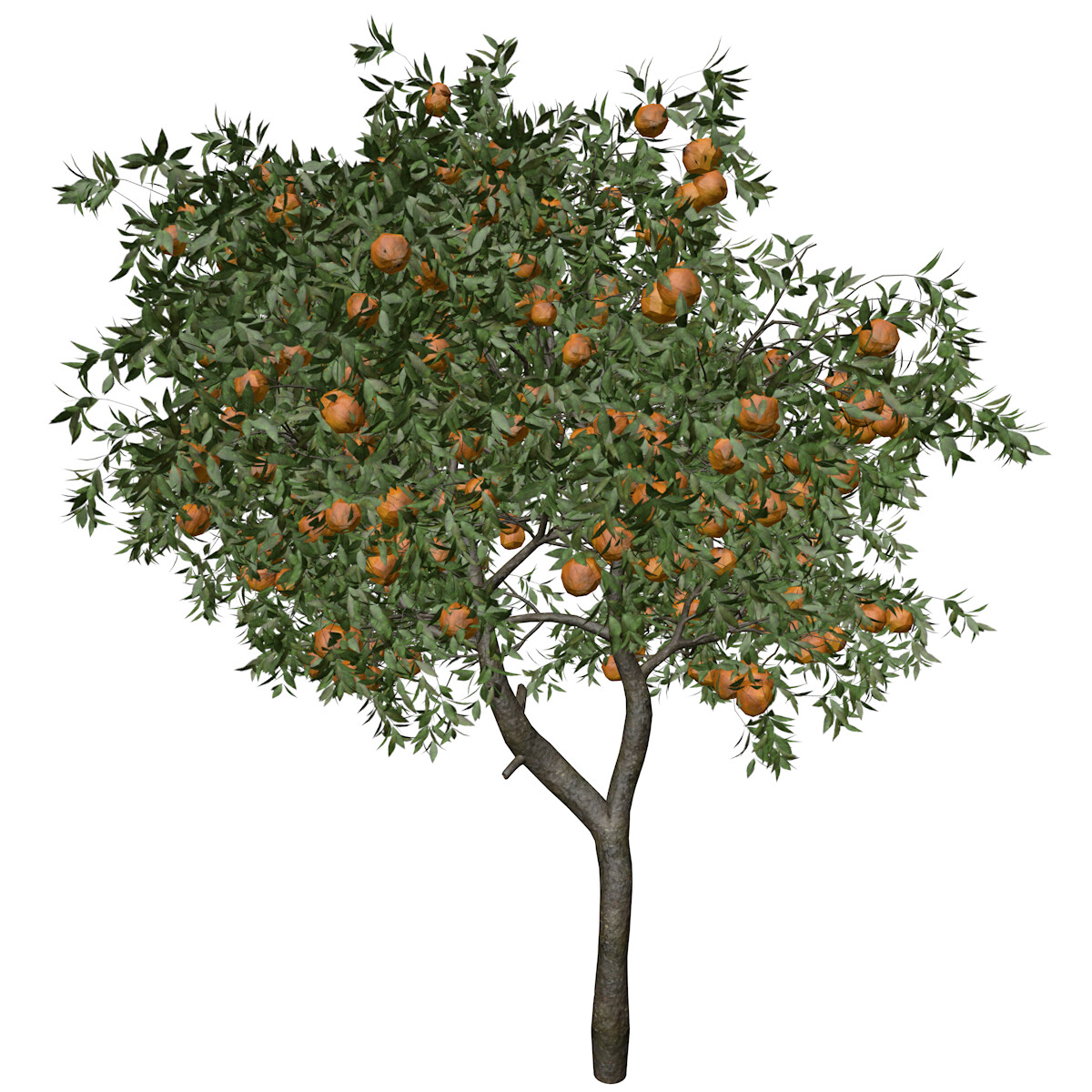 ArtStation - Orange Tree #07 - High Poly Tree (3D Model) | Game Assets