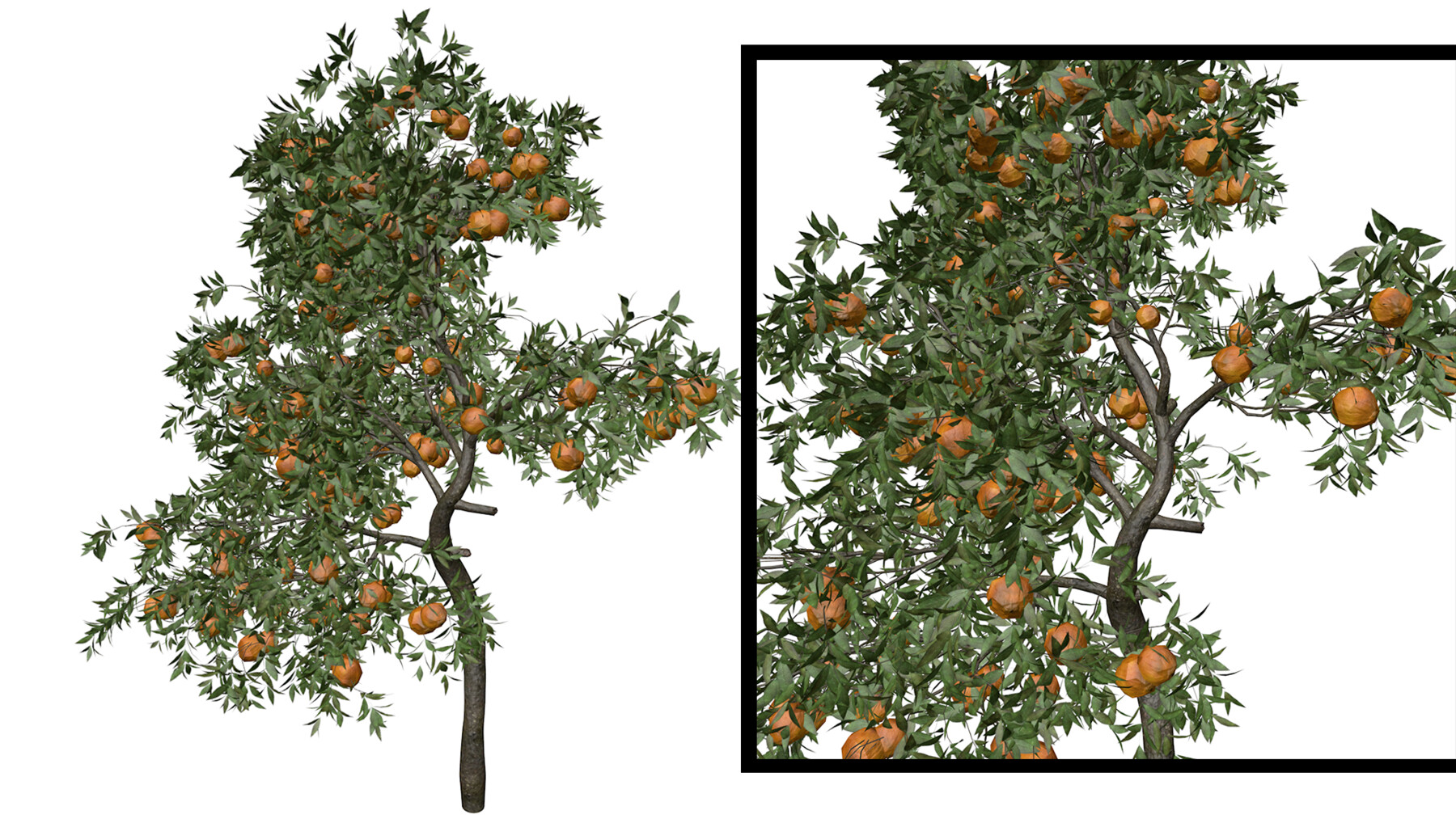 ArtStation - Orange Tree #08 - High Poly Tree (3D Model) | Game Assets