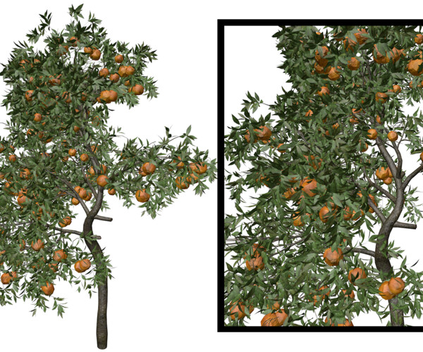 ArtStation - Orange Tree #08 - High Poly Tree (3D Model) | Game Assets