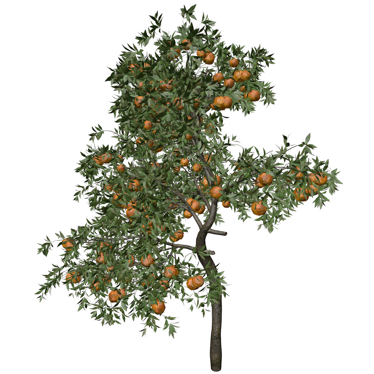 ArtStation - Orange Tree #08 - High Poly Tree (3D Model) | Game Assets