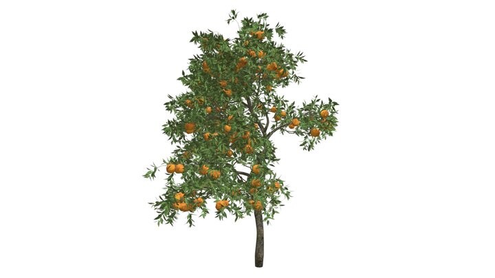 ArtStation - Orange Tree #08 - High Poly Tree (3D Model) | Game Assets