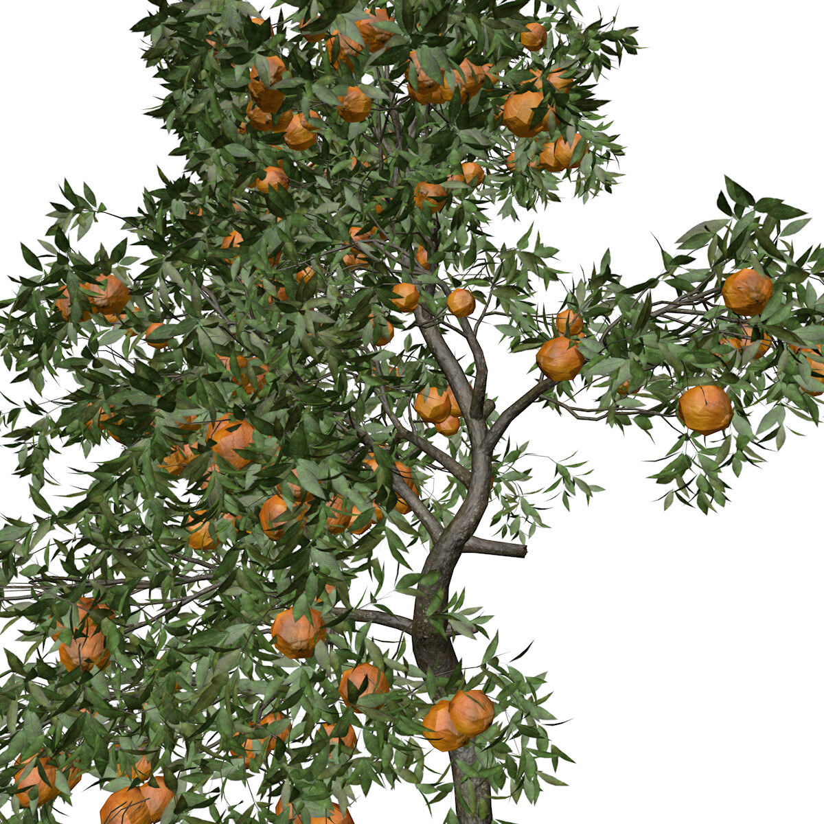 ArtStation - Orange Tree #08 - High Poly Tree (3D Model) | Game Assets