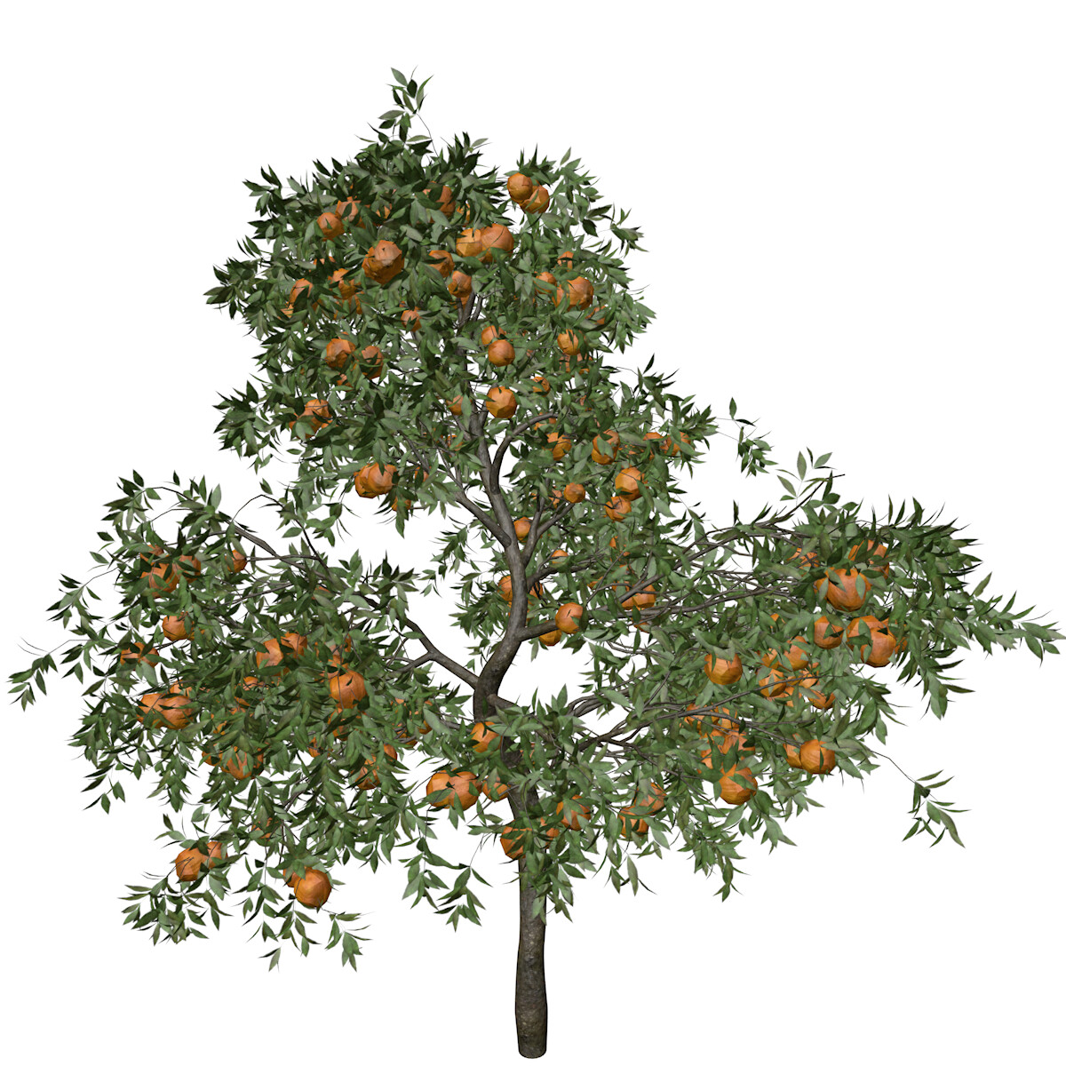 ArtStation - Orange Tree #09 - High Poly Tree (3D Model) | Game Assets
