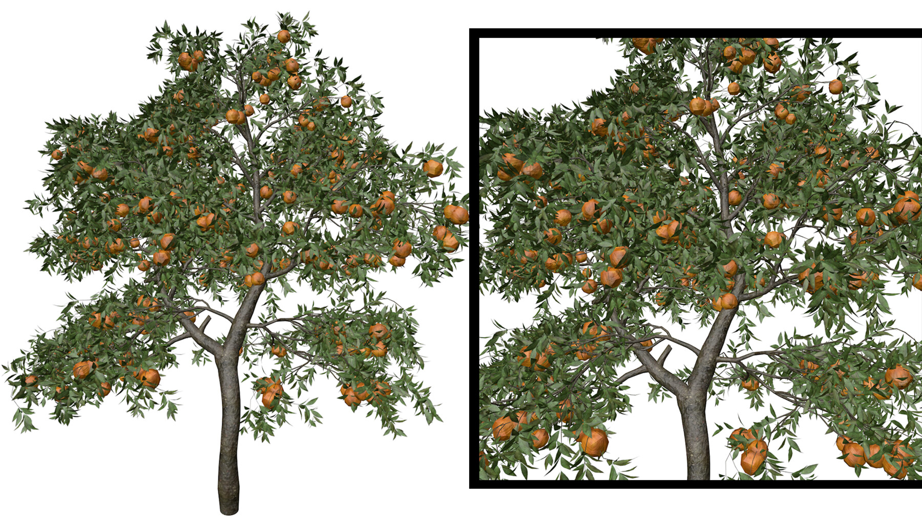 ArtStation - Orange Tree #10 - High Poly Tree (3D Model) | Game Assets