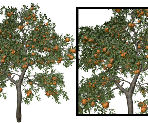 ArtStation - Orange Tree #10 - High Poly Tree (3D Model) | Game Assets
