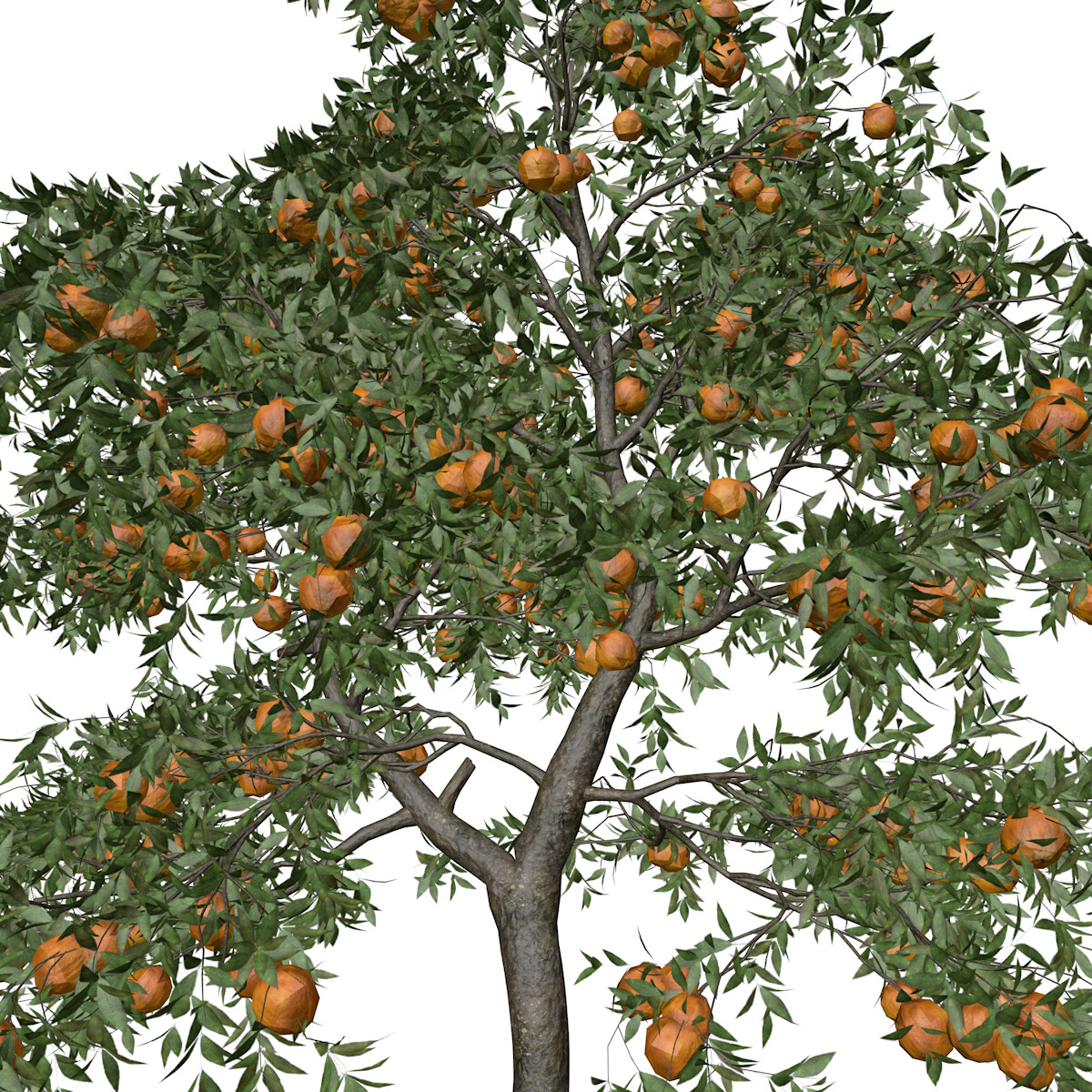 ArtStation - Orange Tree #10 - High Poly Tree (3D Model) | Game Assets