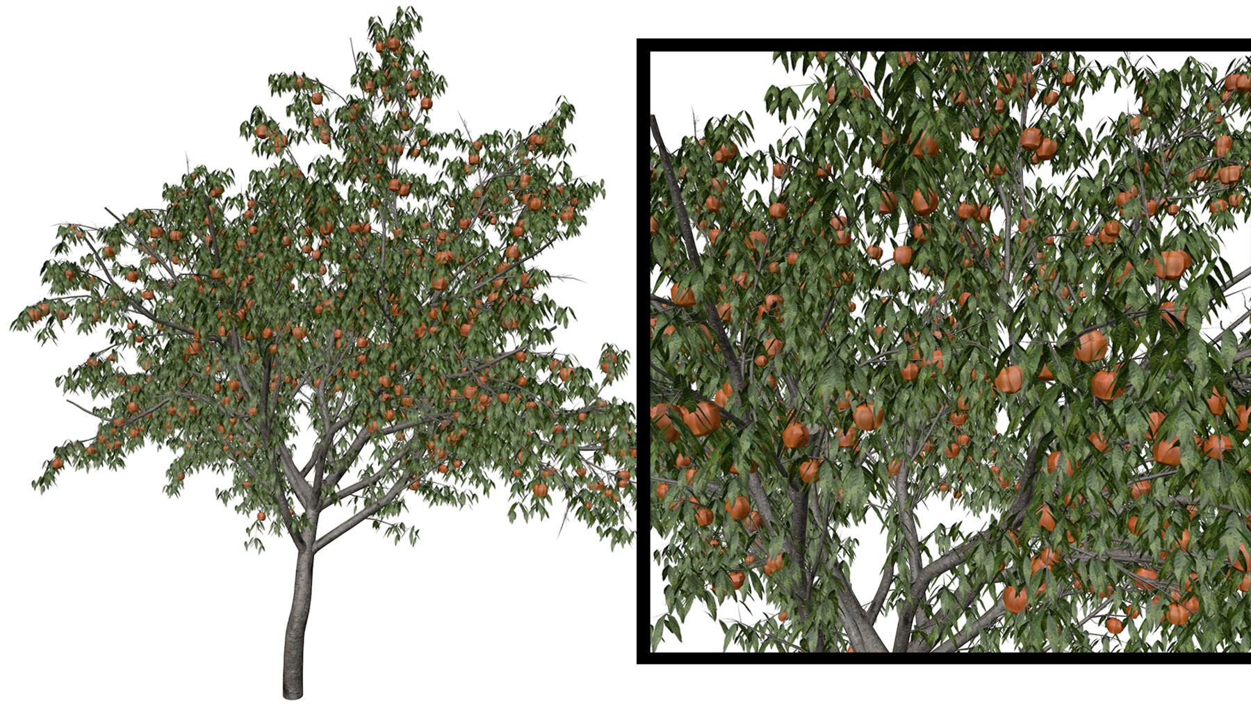 ArtStation - Peach Tree #02 - High Poly Tree (3D Model) | Game Assets