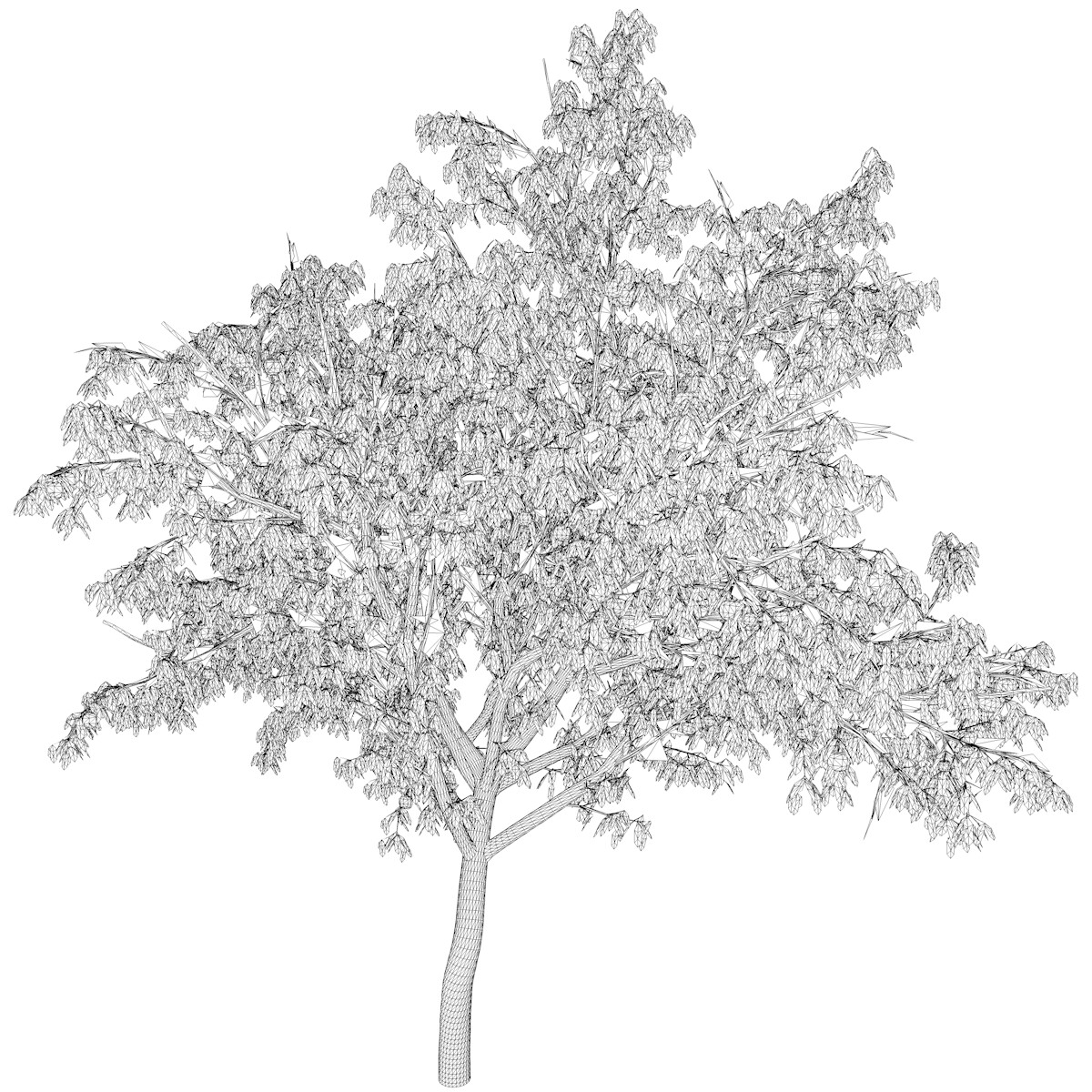 ArtStation - Peach Tree #02 - High Poly Tree (3D Model) | Game Assets