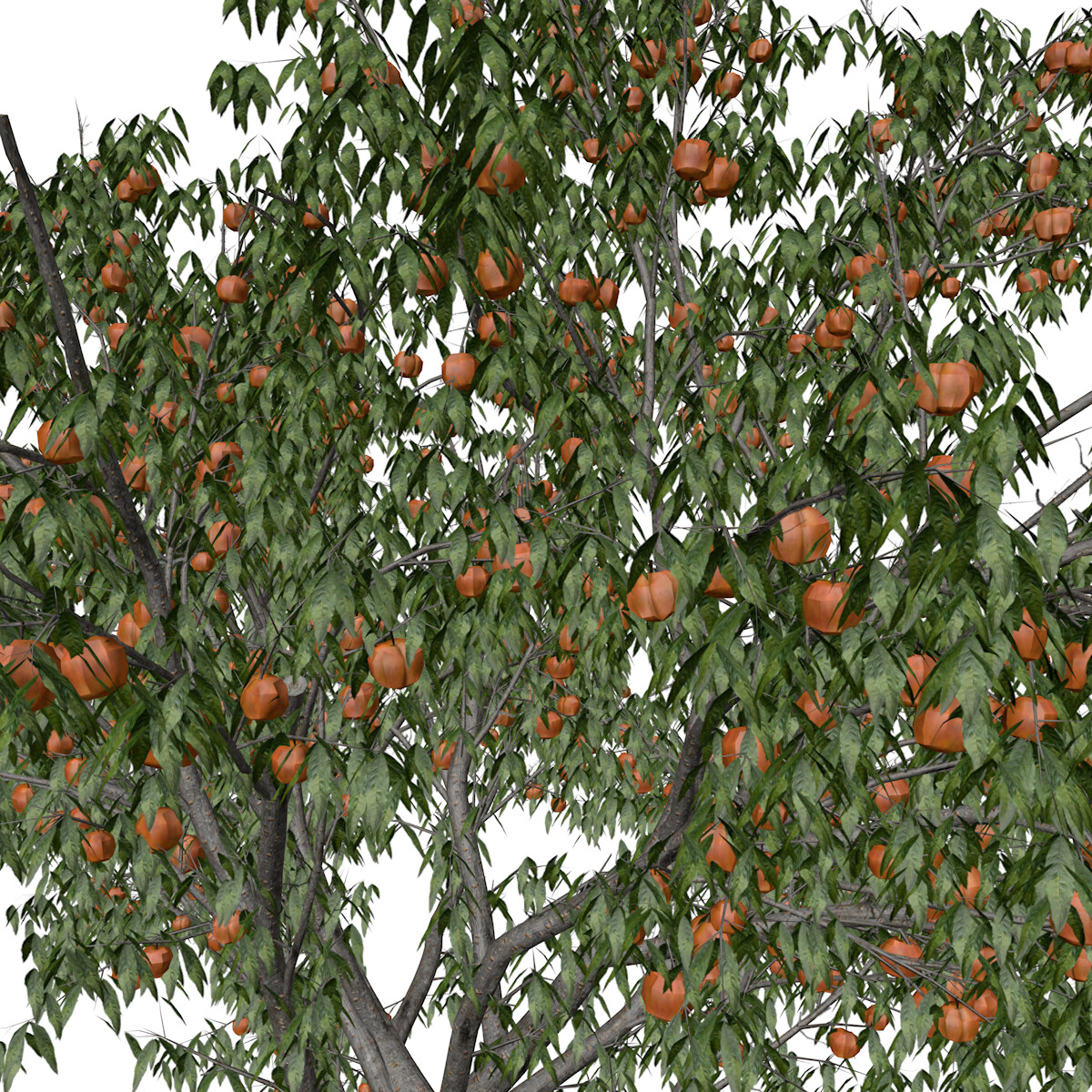 ArtStation - Peach Tree #02 - High Poly Tree (3D Model) | Game Assets