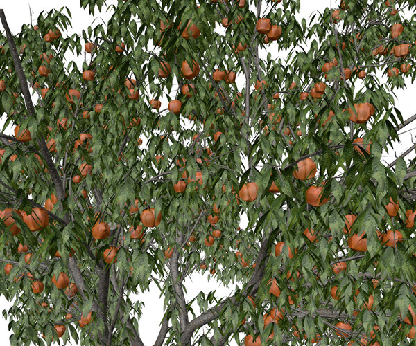 ArtStation - Peach Tree #02 - High Poly Tree (3D Model) | Game Assets