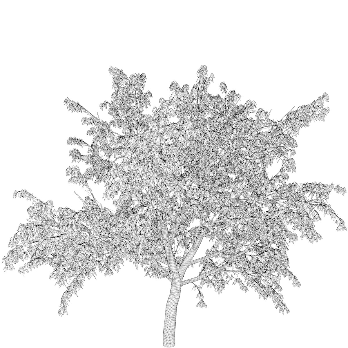 ArtStation - Peach Tree #04 - High Poly Tree (3D Model) | Game Assets