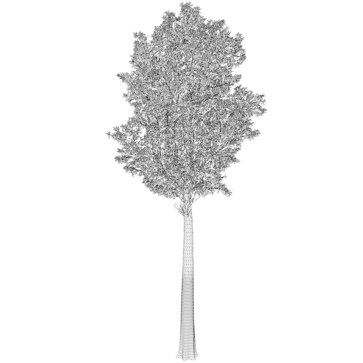 ArtStation - Rainbow Gum Tree #07 - High Poly Tree (3D Model) | Game Assets