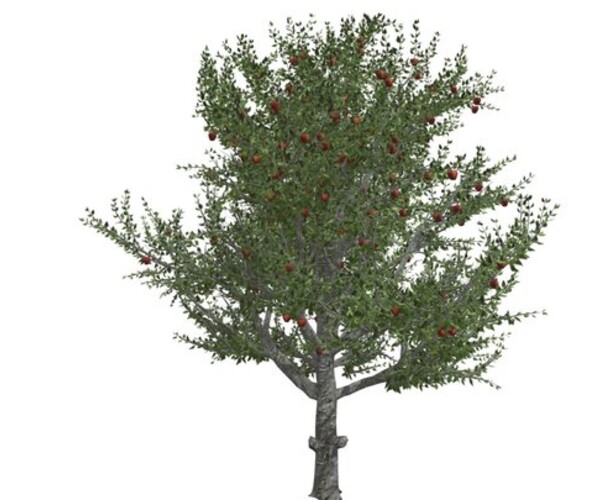 ArtStation - Red Delicious Apple Tree #04 - High Poly Tree (3D Model ...