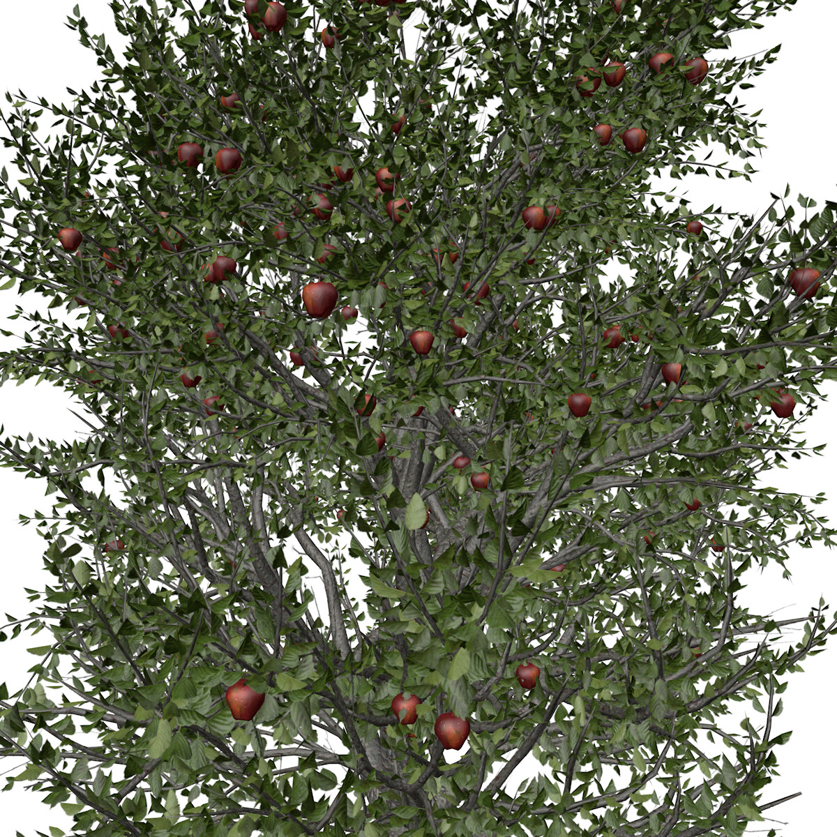 ArtStation - Red Delicious Apple Tree #04 - High Poly Tree (3D Model ...