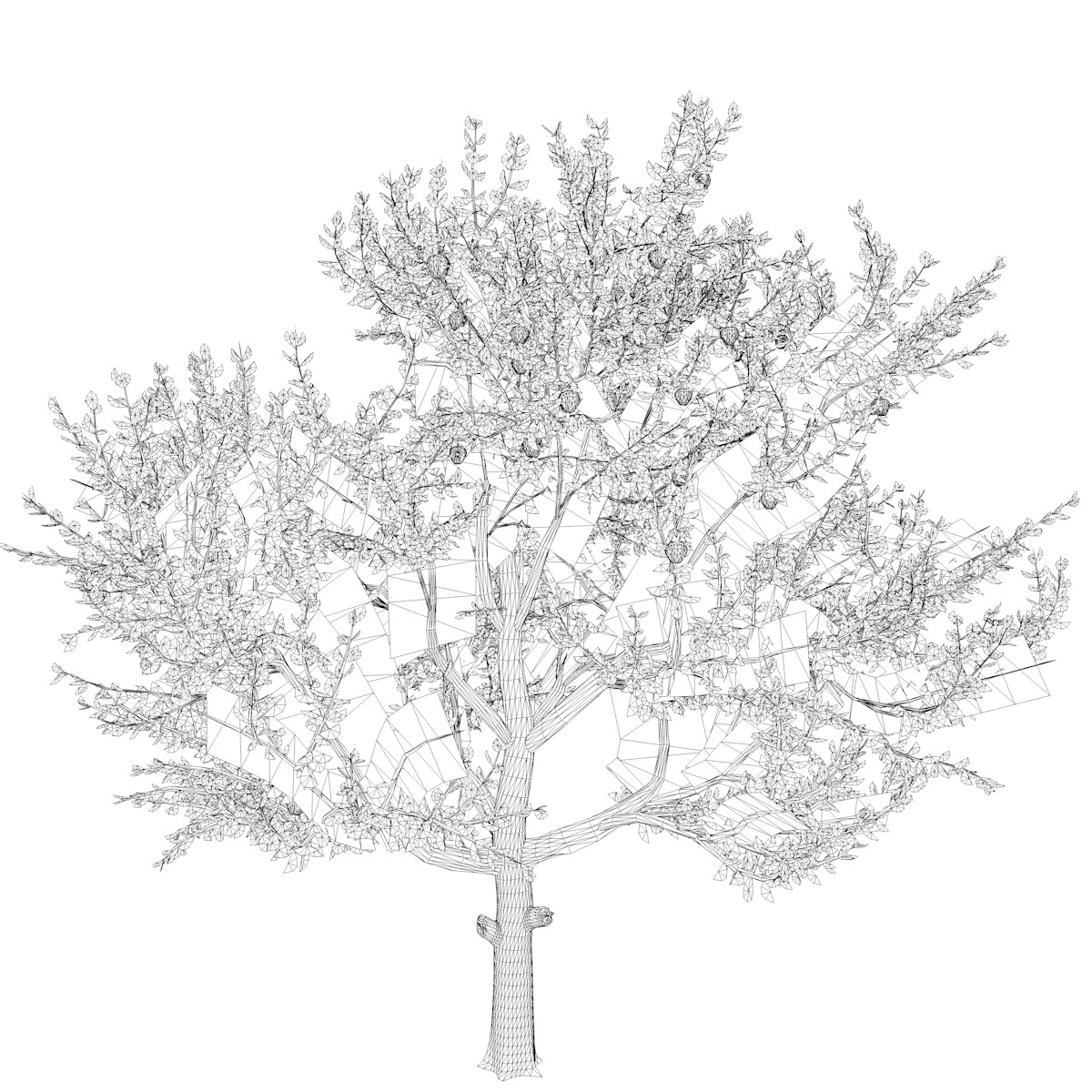 ArtStation - Red Delicious Apple Tree #05 - High Poly Tree (3D Model ...