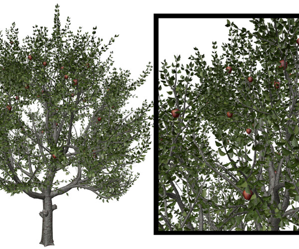 ArtStation - Red Delicious Apple Tree #06 - High Poly Tree (3D Model ...