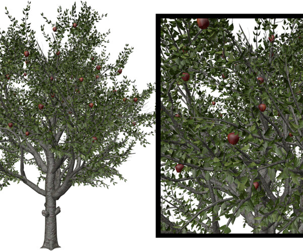 ArtStation - Red Delicious Apple Tree #08 - High Poly Tree (3D Model ...