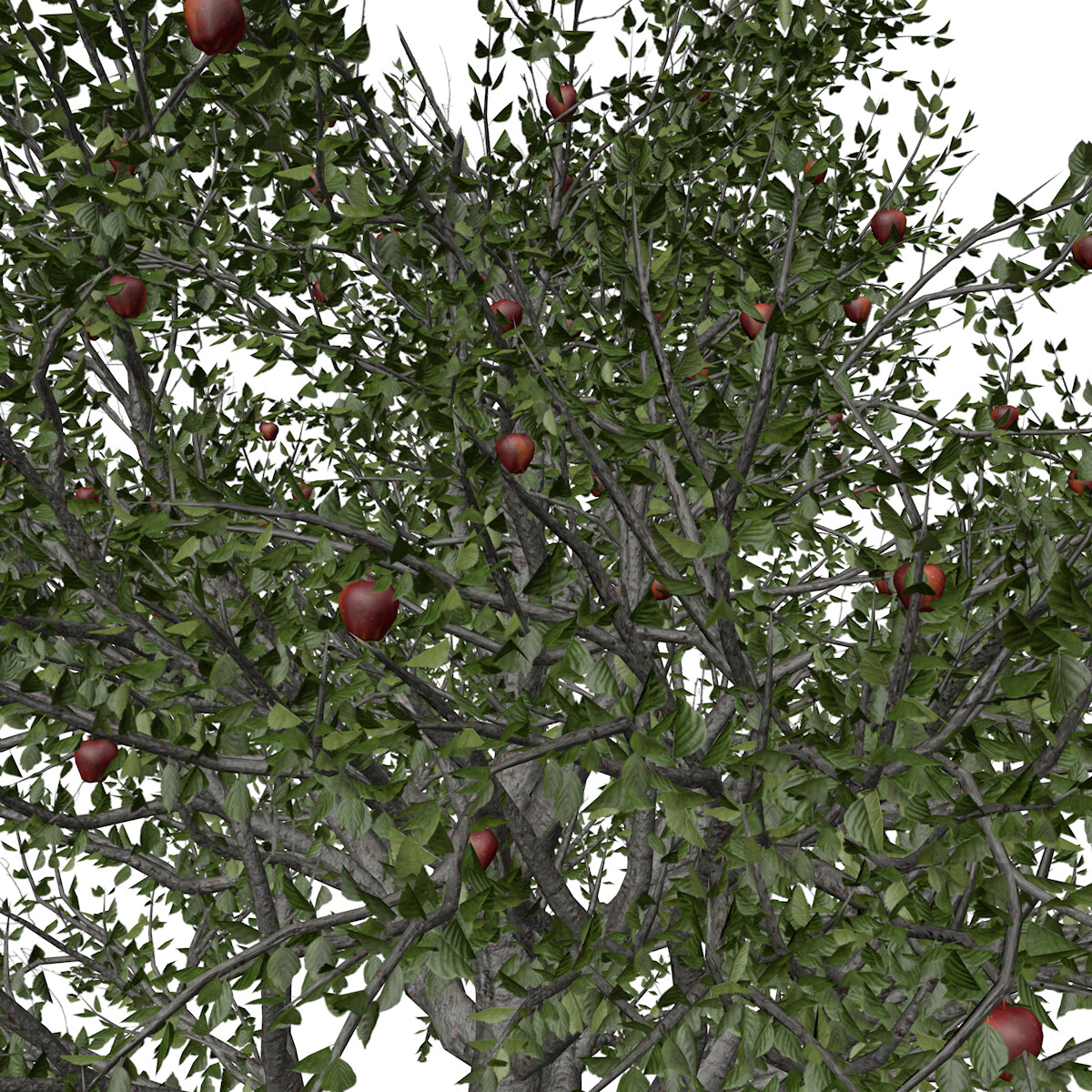 ArtStation - Red Delicious Apple Tree #08 - High Poly Tree (3D Model ...
