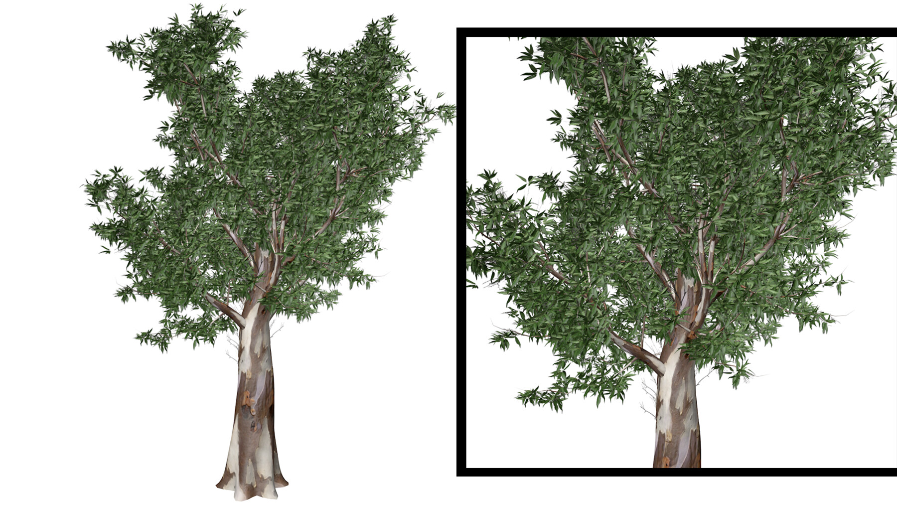 ArtStation - Red Gum Tree #02 - High Poly Tree (3D Model) | Game Assets