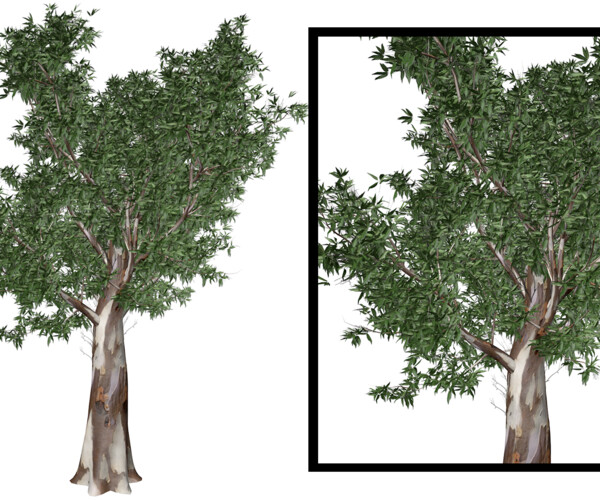 ArtStation - Red Gum Tree #02 - High Poly Tree (3D Model) | Game Assets