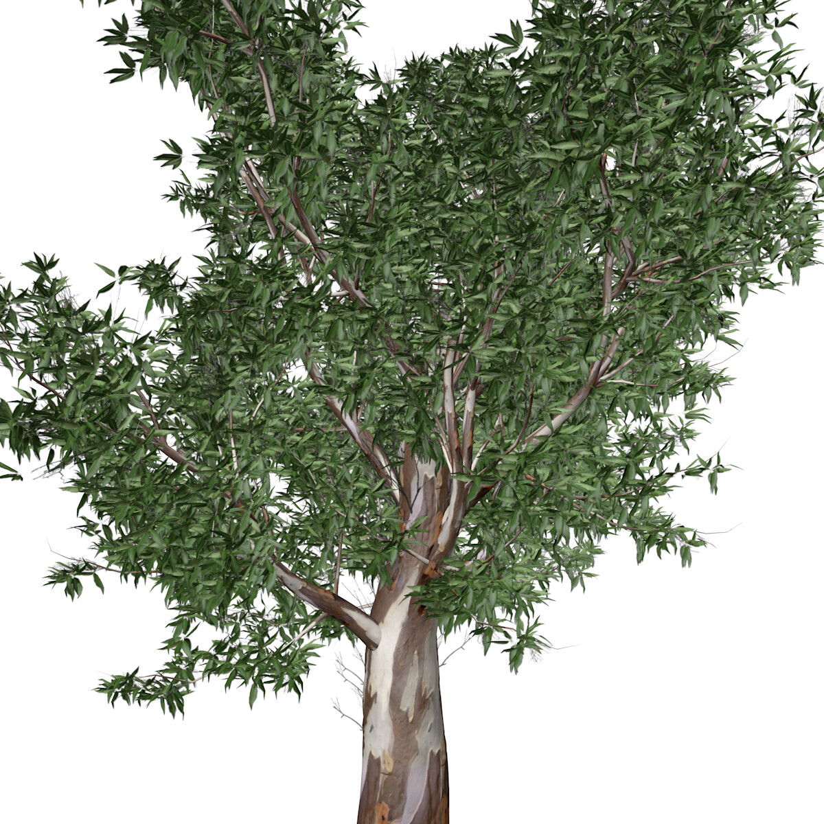 ArtStation - Red Gum Tree #02 - High Poly Tree (3D Model) | Game Assets